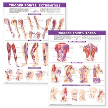Trigger Points Chart Set : Torso & Extremities